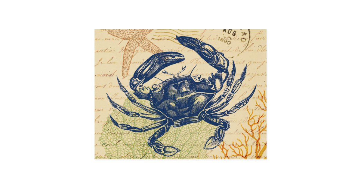 Seaside Blue Crab Collage Postcard | Zazzle.com