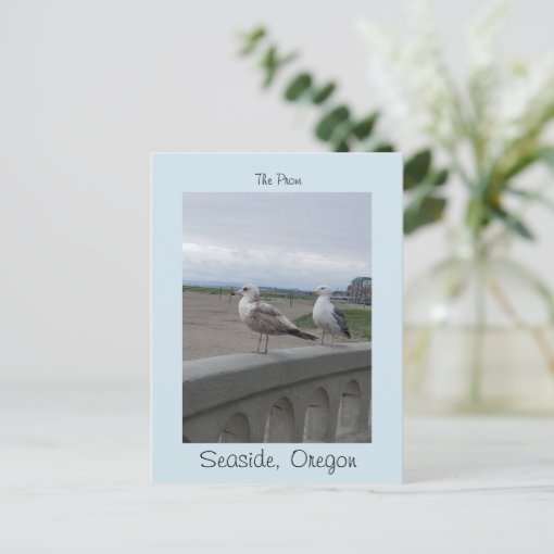 Seaside Oregon Two Gulls on the Beach Prom Postcard | Zazzle