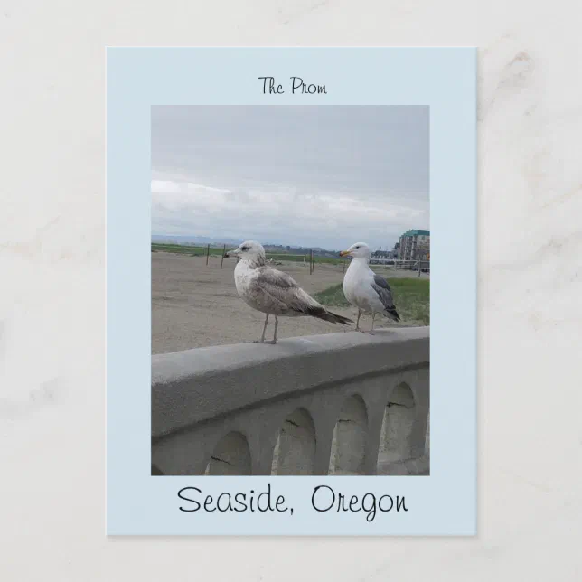 Seaside Oregon Two Gulls on the Beach Prom Postcard | Zazzle
