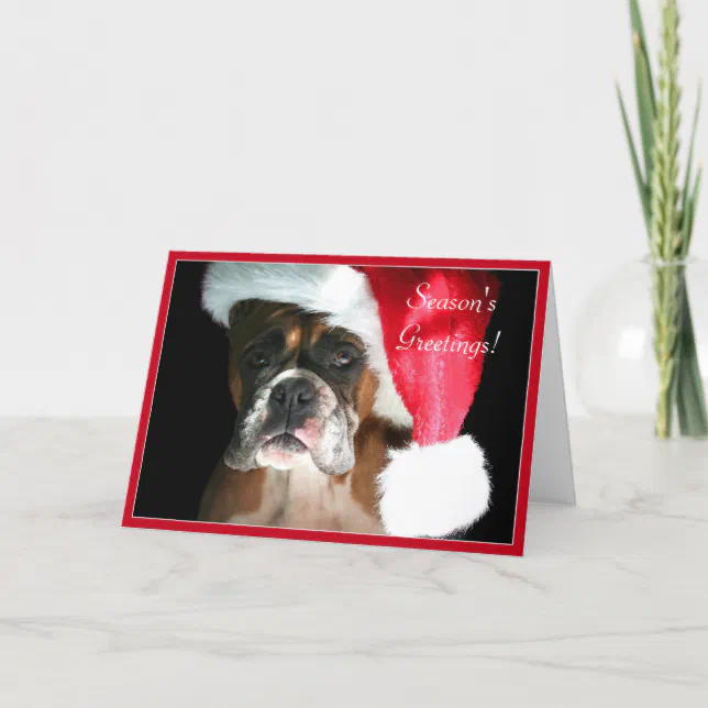 Season's Greetings Boxer dog greeting card | Zazzle
