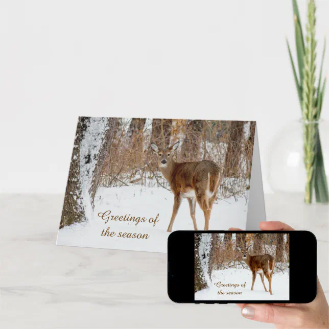 Seasons Greetings Christmas Whitetail Deer Card | Zazzle