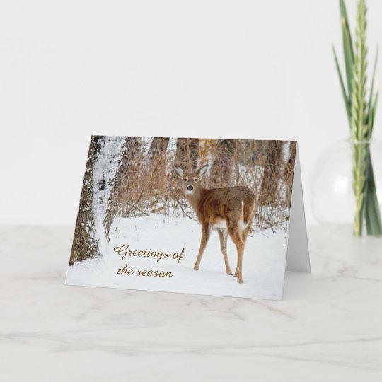 Seasons Greetings Christmas Whitetail Deer Card | Zazzle.com