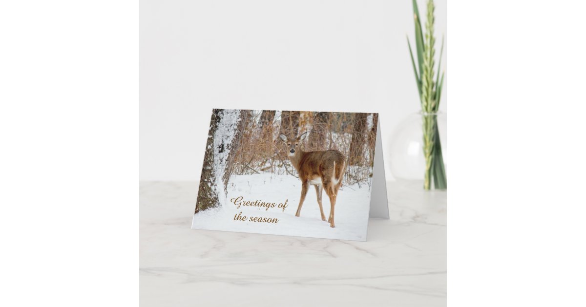 Seasons Greetings Christmas Whitetail Deer Card | Zazzle