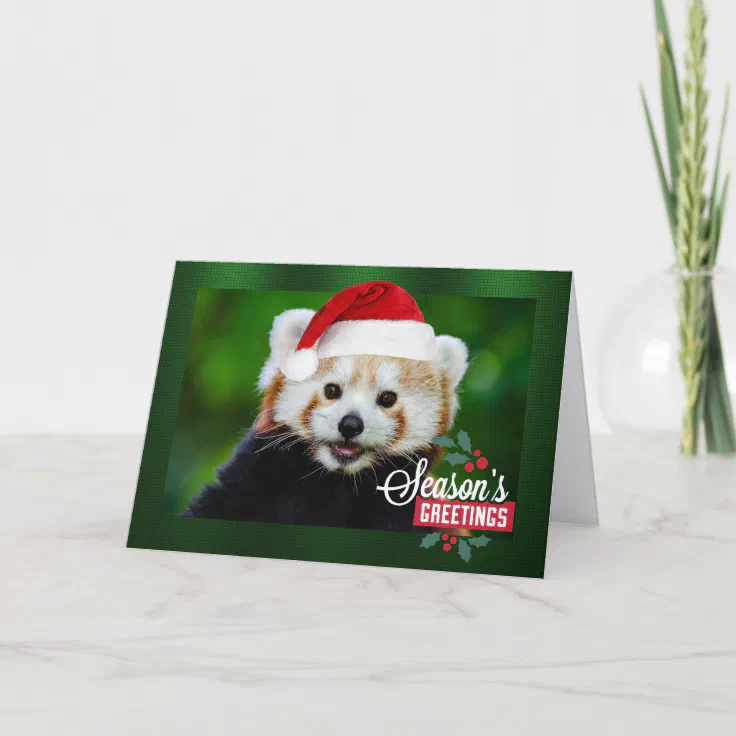 Seasons Greetings from Red Panda Santa Holiday Card | Zazzle