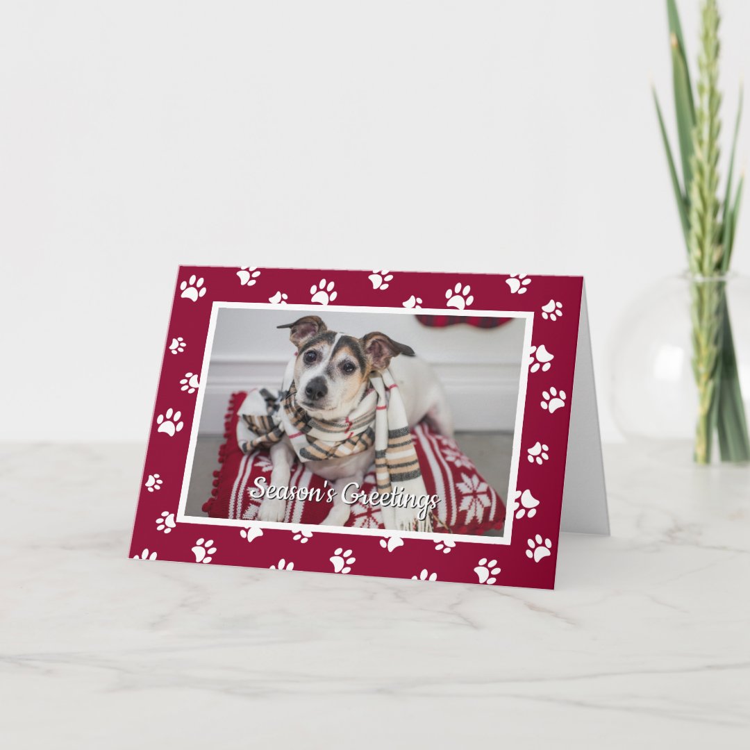 Season's Greetings! Red White Paw Prints Dog Photo Holiday Card | Zazzle