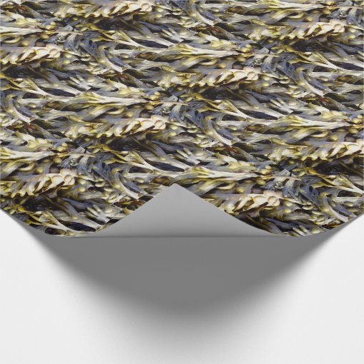Seaweed Wrapping Paper | Zazzle