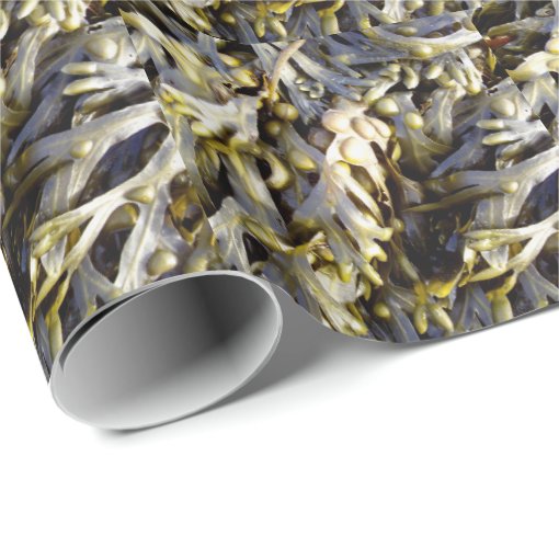 Seaweed Wrapping Paper | Zazzle
