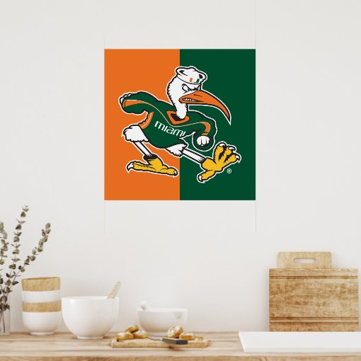Sebastian The Ibis Poster | Zazzle