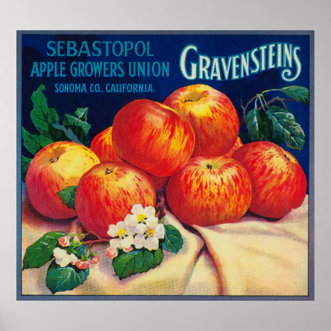 Sebastopol Gravensteins Apple LabelSonoma, CA Poster | Zazzle