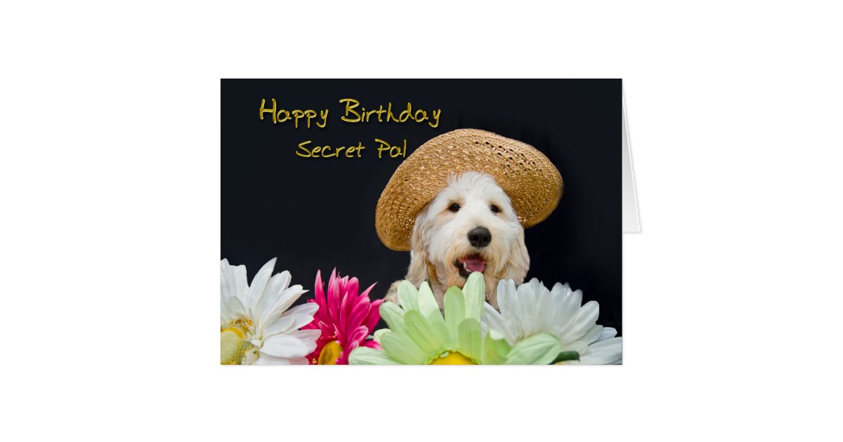 Secret Pal - Birthday Card | Zazzle.com