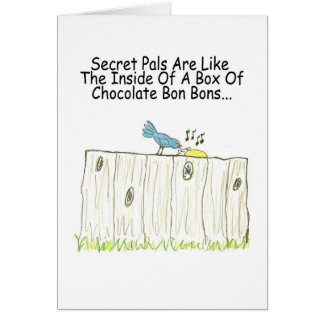 Secret Pal Cards - Greeting & Photo Cards | Zazzle