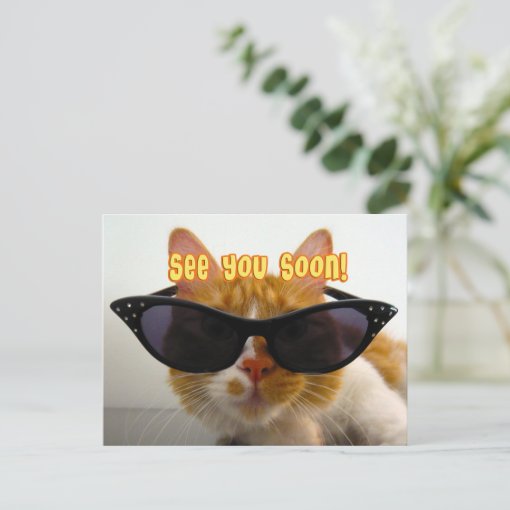See You Soon - Cool Cat Postcard | Zazzle