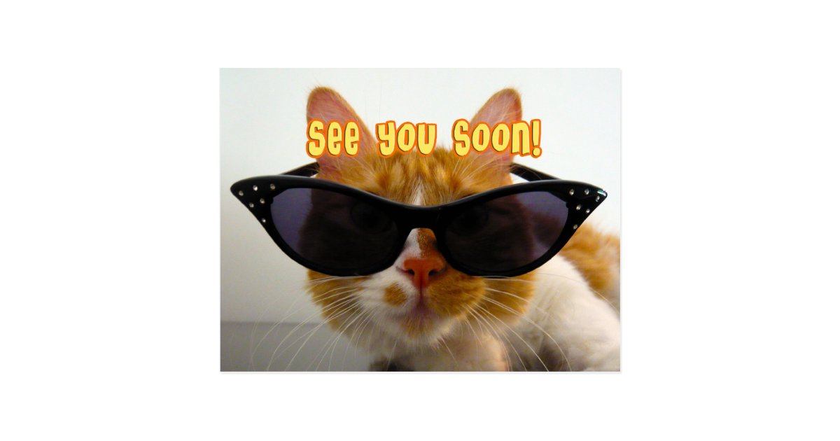 See You Soon - Cool Cat Postcard | Zazzle.com