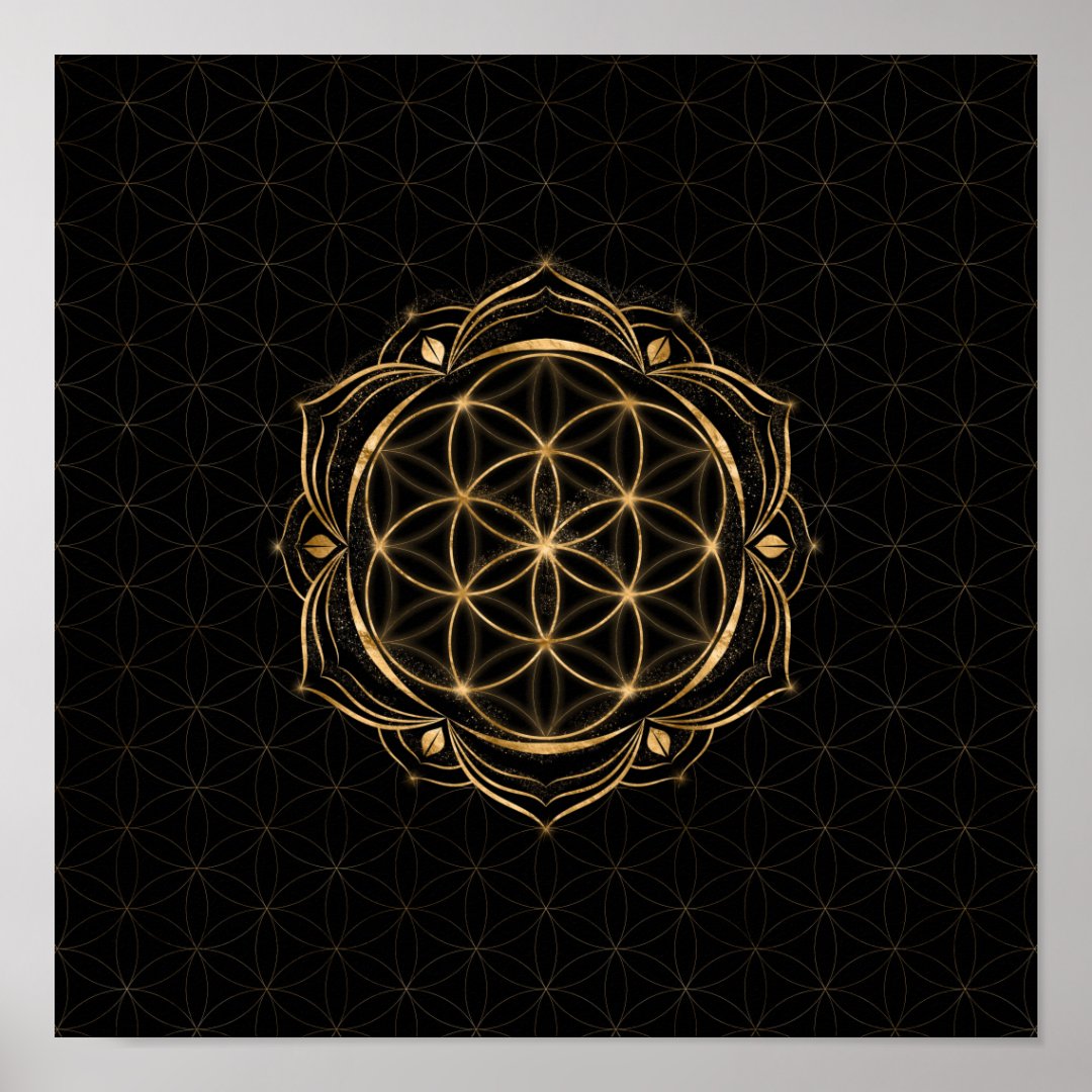 Seed of life in Lotus - Sacred Geometry Poster | Zazzle