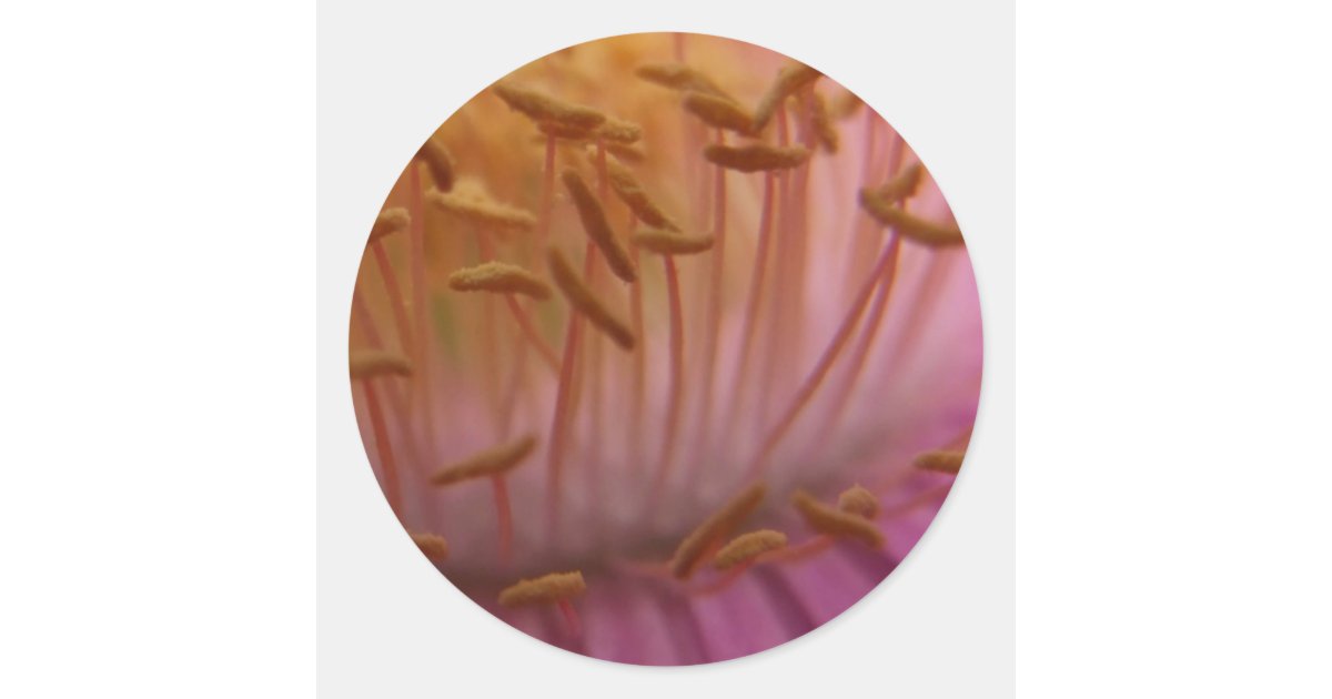 Seed Stickers | Zazzle