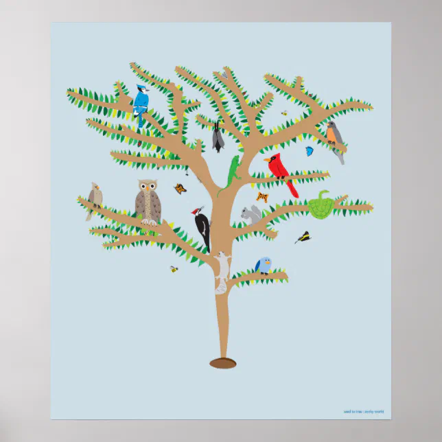 Seed to Tree poster | Zazzle