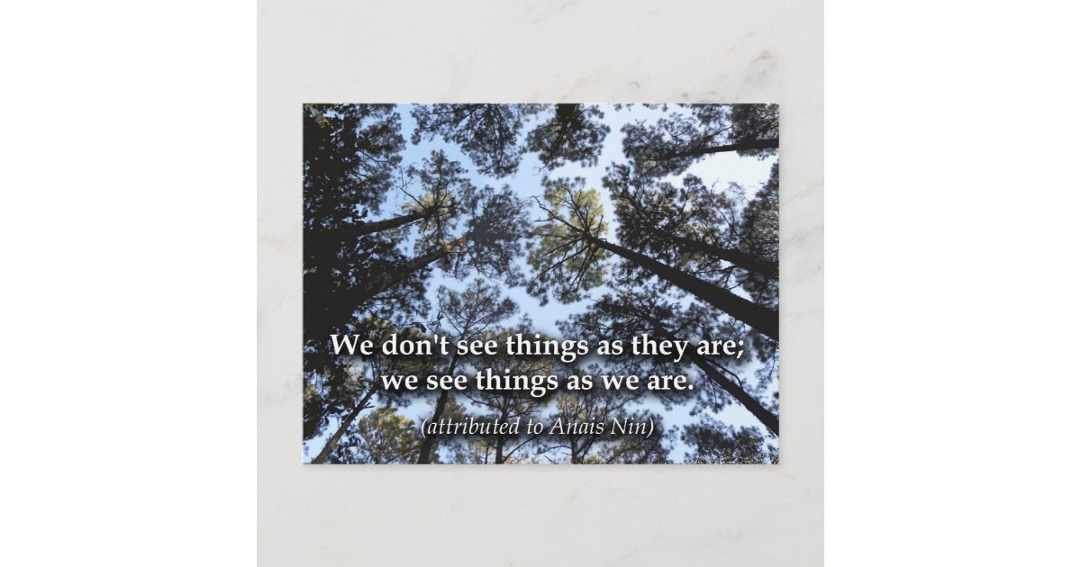 Seeing Things (Trees) Postcard | Zazzle