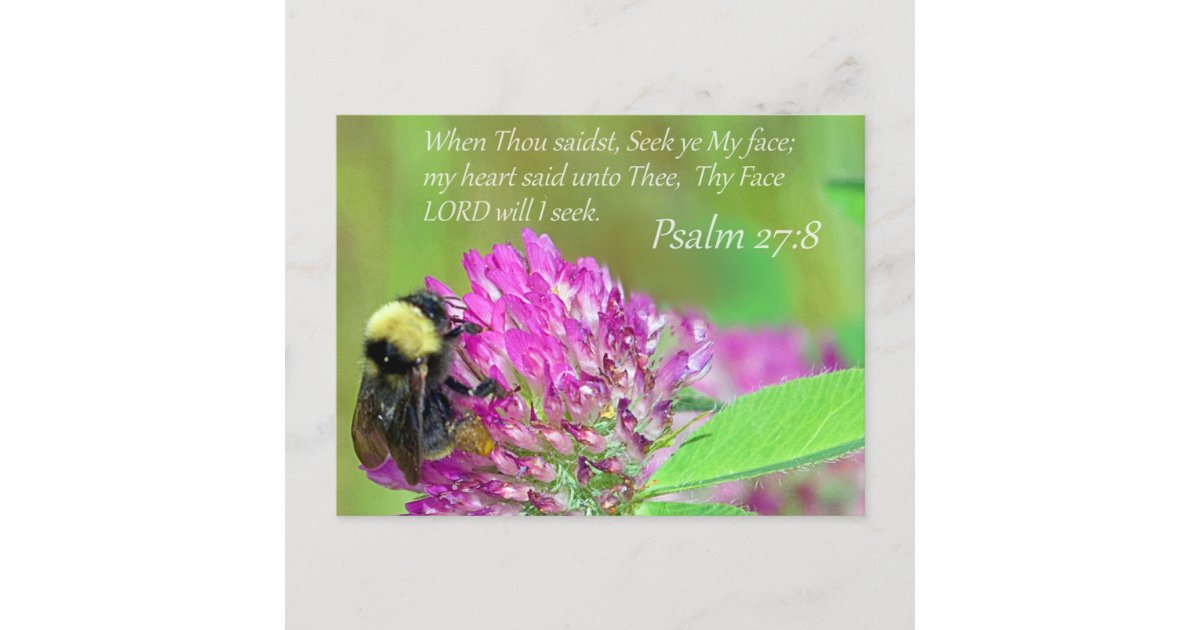 seek-his-face-postcard-zazzle