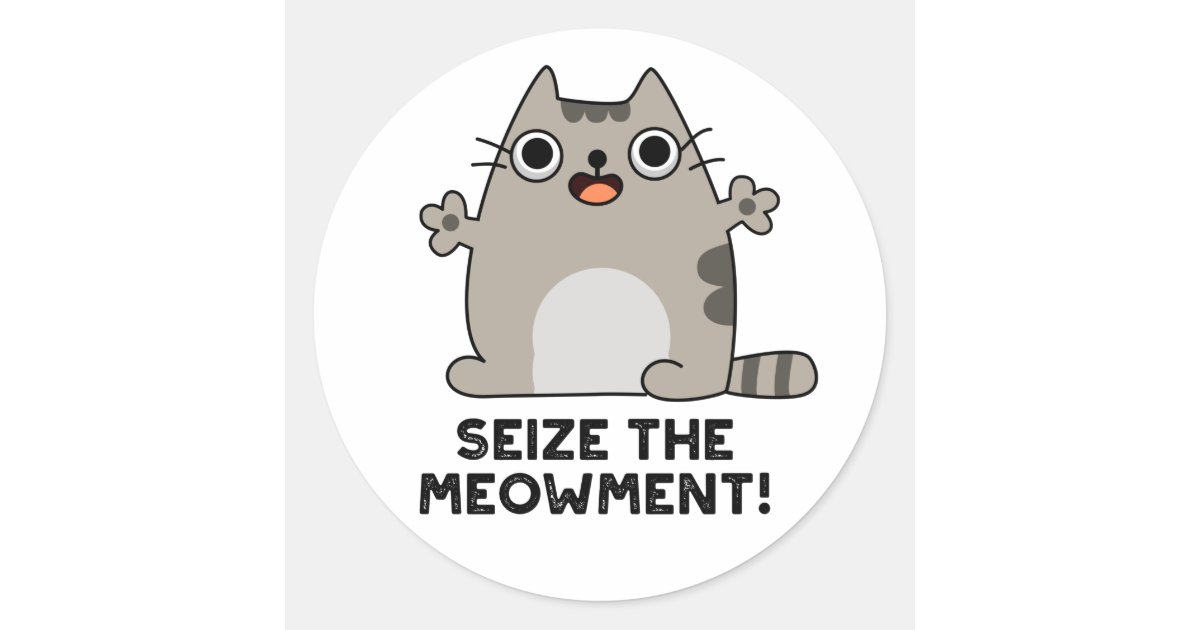Seize The Meow-ment Funny Positive Cat Pun Classic Round Sticker | Zazzle