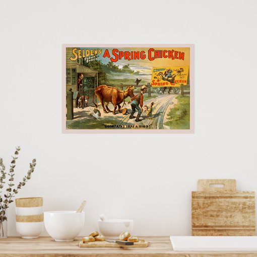 Selden's Funny Farce, A Spring Chicken Poster | Zazzle