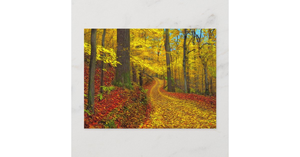 Seldom used road , postcard | Zazzle