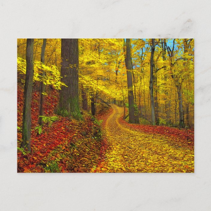 Seldom used road , postcard | Zazzle.com