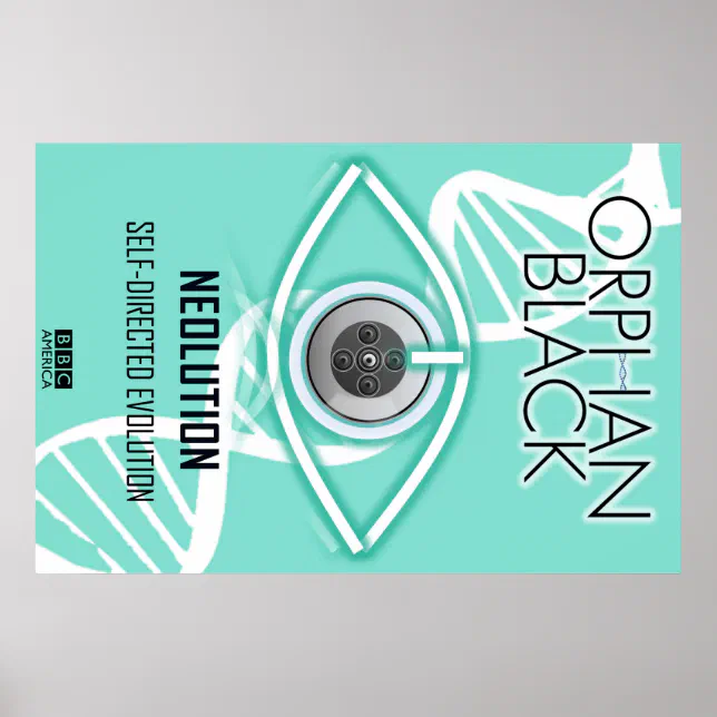 Self-Directed Evolution (Poster) Poster | Zazzle