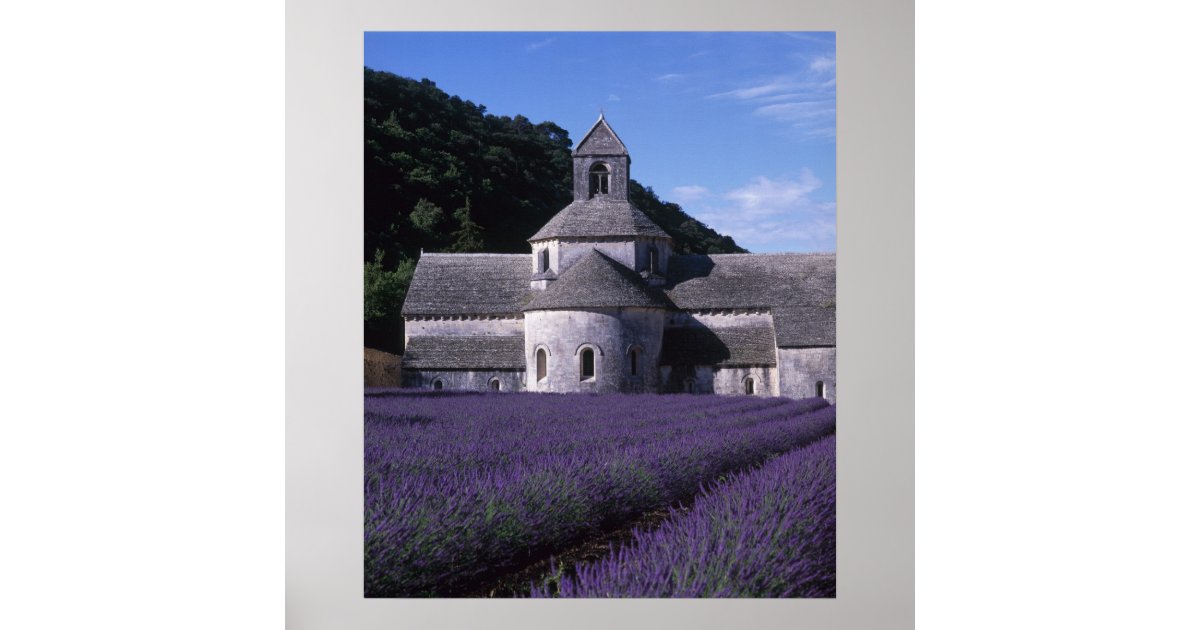 Senanque Abbey, Gordes, Vaucluse, Provence, 2 Poster | Zazzle