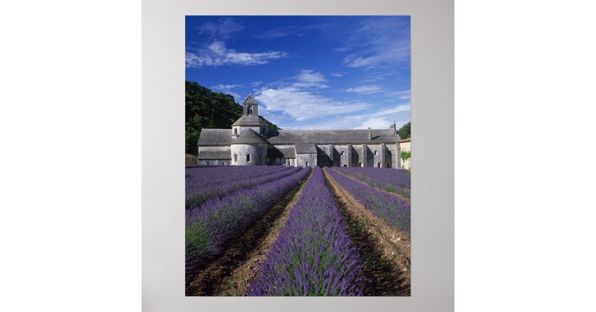 Senanque Abbey, Gordes, Vaucluse, Provence, Poster | Zazzle