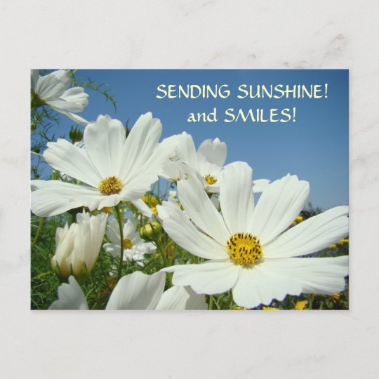 SENDING SUNSHINE & Smiles! Postcard Valentines | Zazzle.com