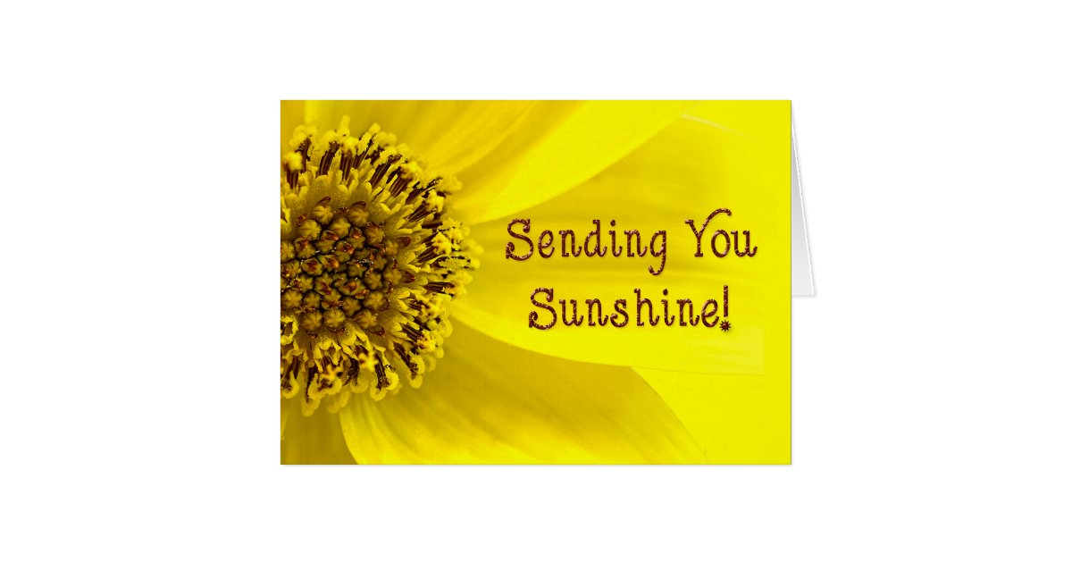 Sending Sunshine - SUNFLOWER - BRIGHT | Zazzle