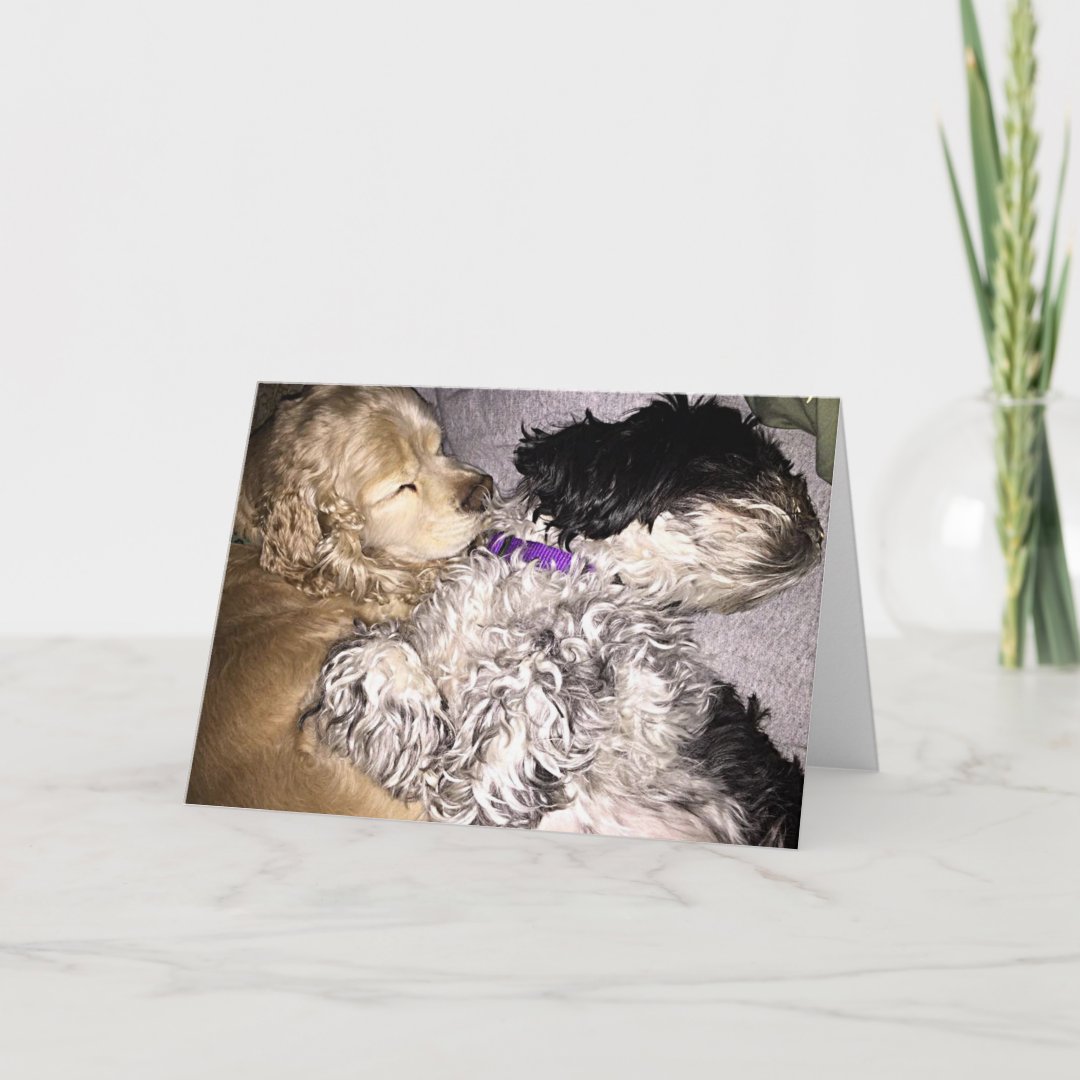 SENDING WISHES WHILE WE NAP ON YOUR BIRTHDAY CARD | Zazzle