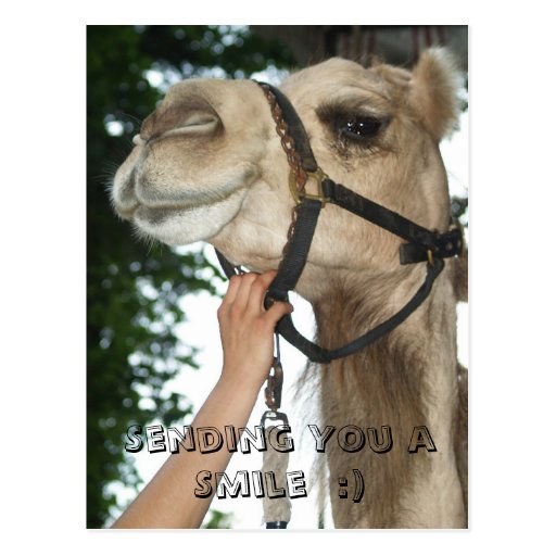 Sending You a Smile :) Postcard | Zazzle