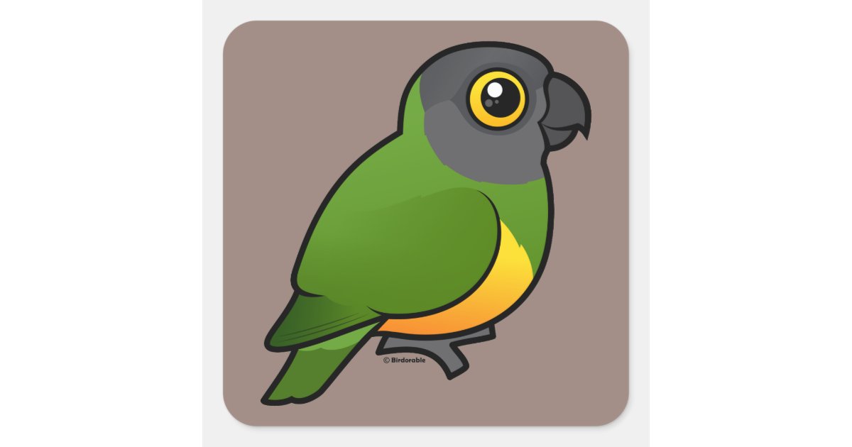 Senegal Parrot Square Sticker | Zazzle