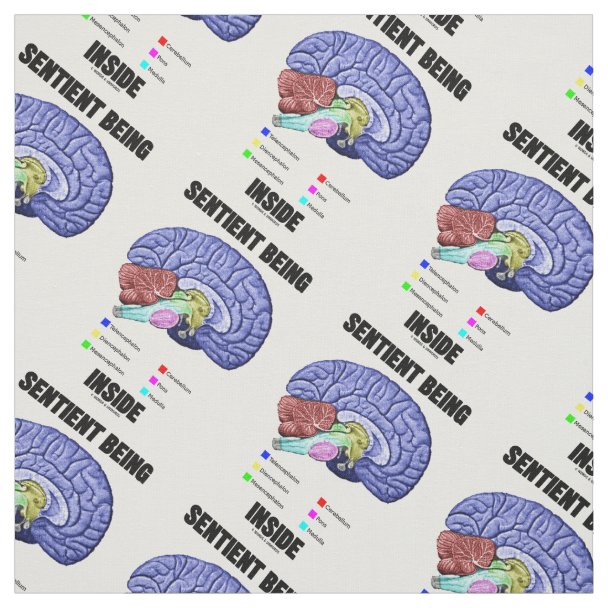 Wanted A New Brain Anatomical Brain Humor Fabric | Zazzle