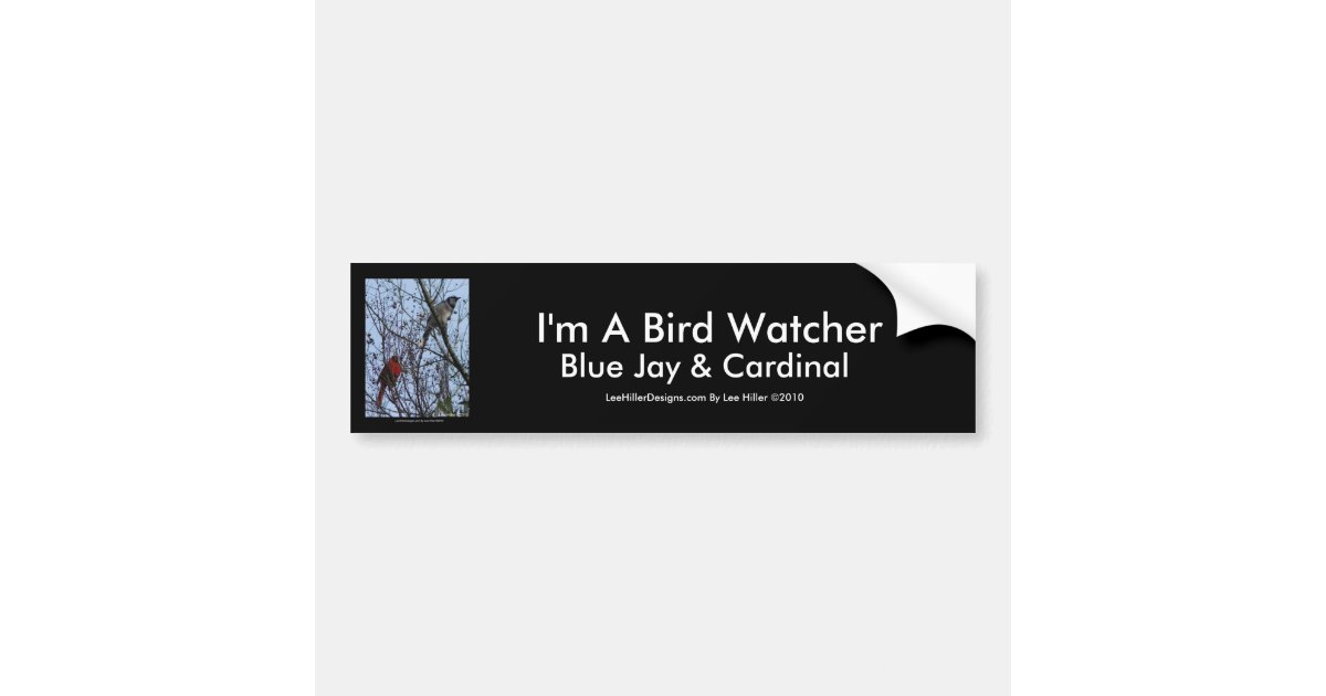 Sentinels Blue Jay and Cardinal by Lee Hiller Bumper Sticker | Zazzle
