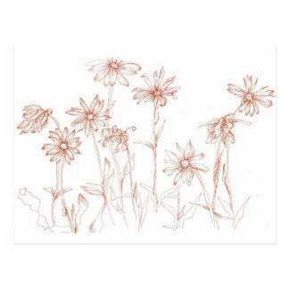 Sepia Drawing Cards | Zazzle