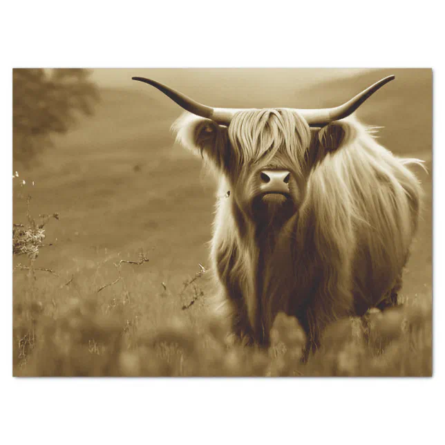 Sepia Scottish Highland Tissue Paper | Zazzle
