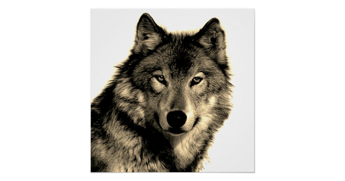 Sepia Unique Motivational Wolf Creative Square Poster | Zazzle