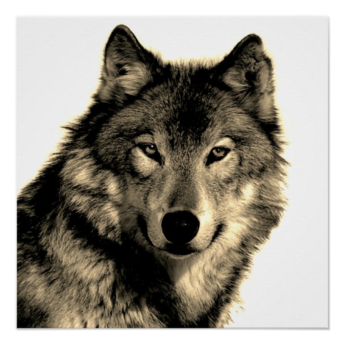 Sepia Unique Motivational Wolf Creative Square Poster | Zazzle.com