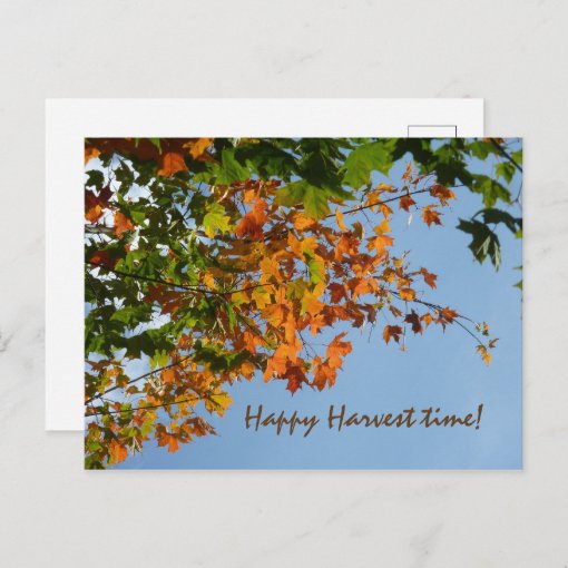 September colours postcard | Zazzle