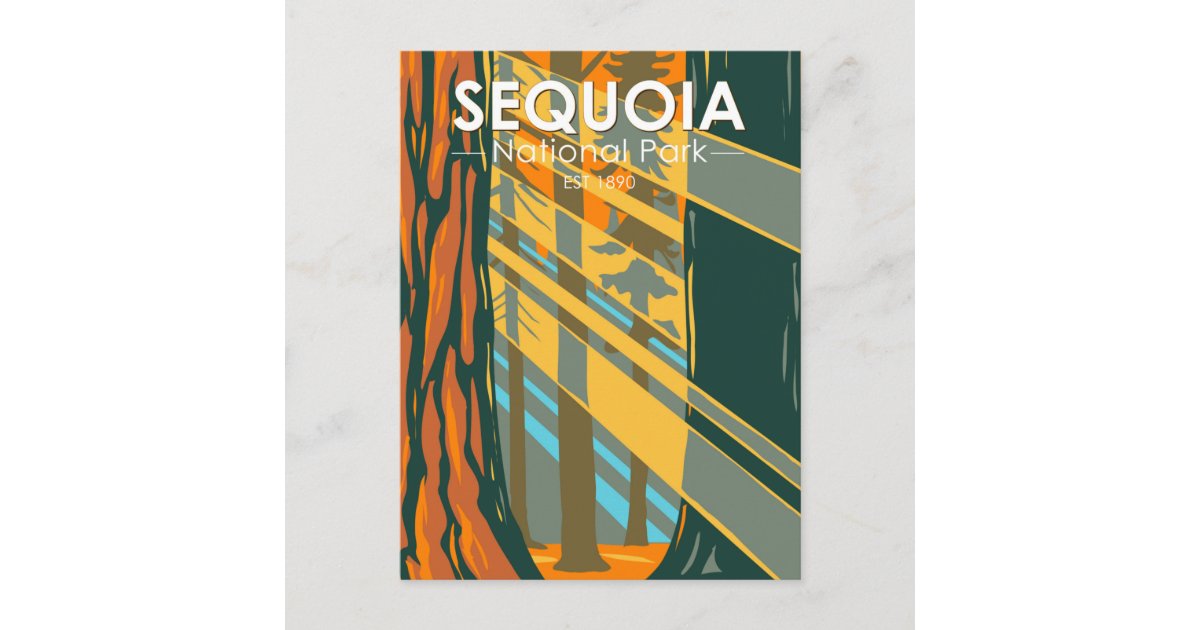Sequoia National Park Giant Sequoia Trees Postcard | Zazzle