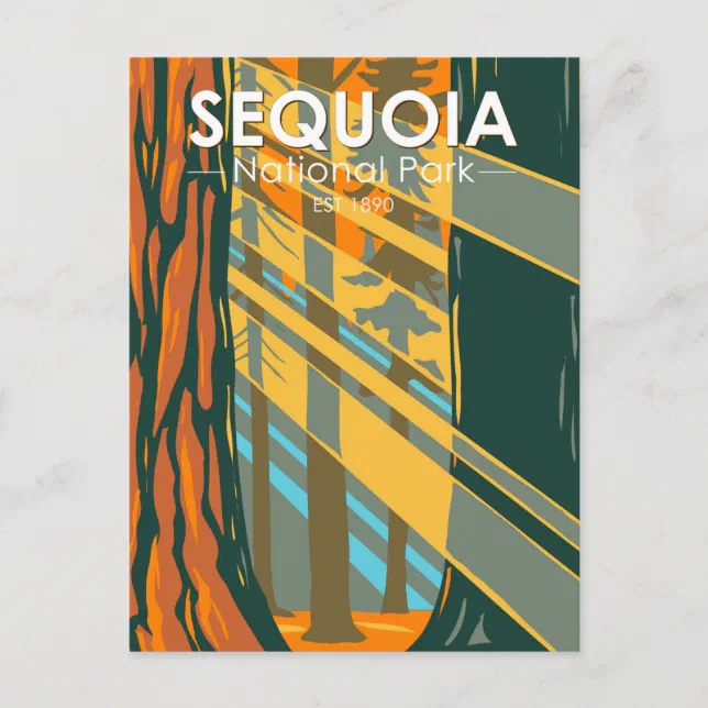 Sequoia National Park Giant Sequoia Trees Postcard | Zazzle