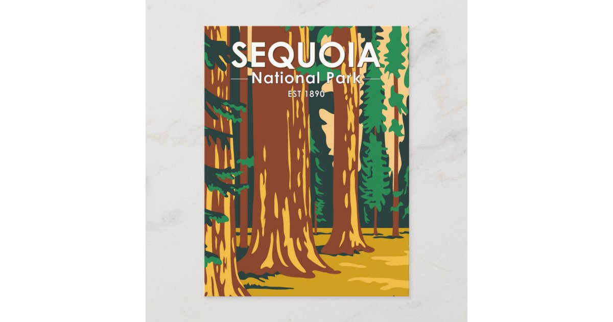 Sequoia National Park Giant Sequoia Trees Vintage Postcard | Zazzle