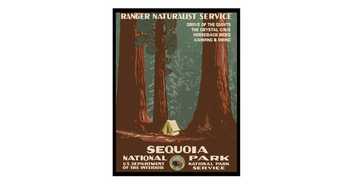 Sequoia National Park Postcard | Zazzle.com