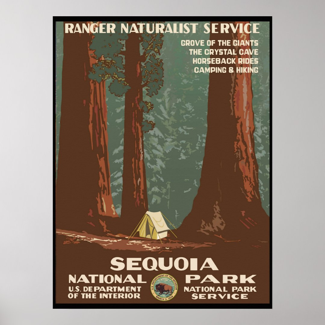Sequoia National Park Poster | Zazzle