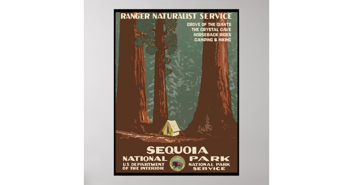 Sequoia National Park Poster | Zazzle