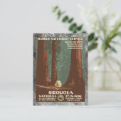 Sequoia National Park Vintage travel Postcard | Zazzle