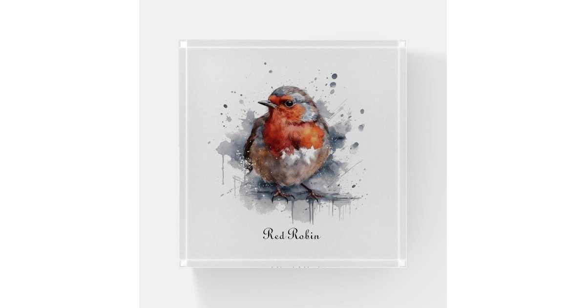 Serene Robin, custom Paperweight | Zazzle