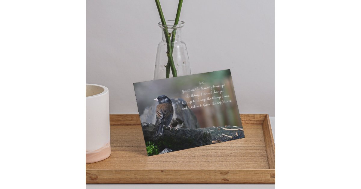 Serenity Prayer Bird on Branch Photo Blank Card | Zazzle